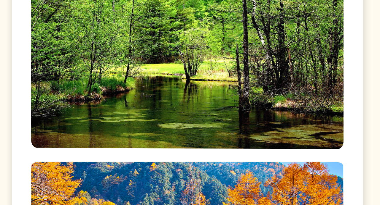 [Nagoya Kamikochi Hiking Tour] One-Day Nature Forest Hiking Tour of ...